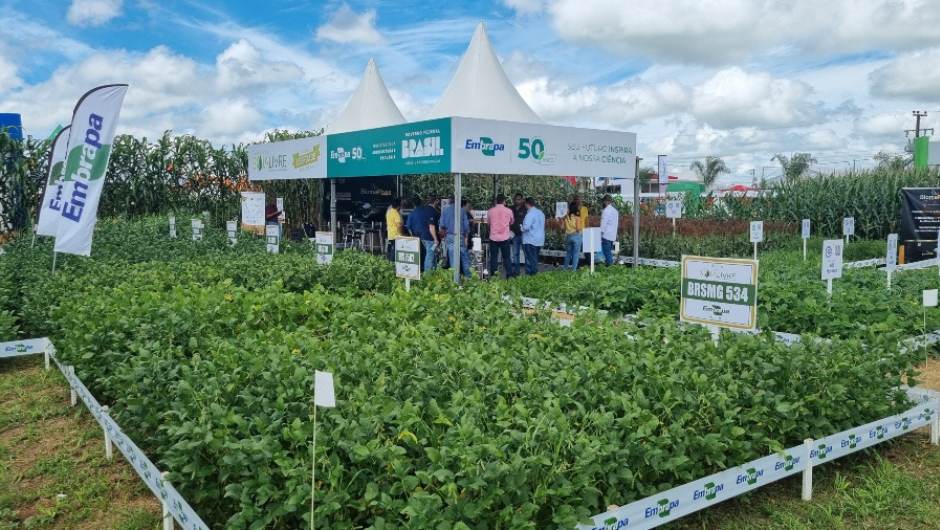 Embrapa e parceiros apresentam mais de 30 tecnologias no Show Safra
